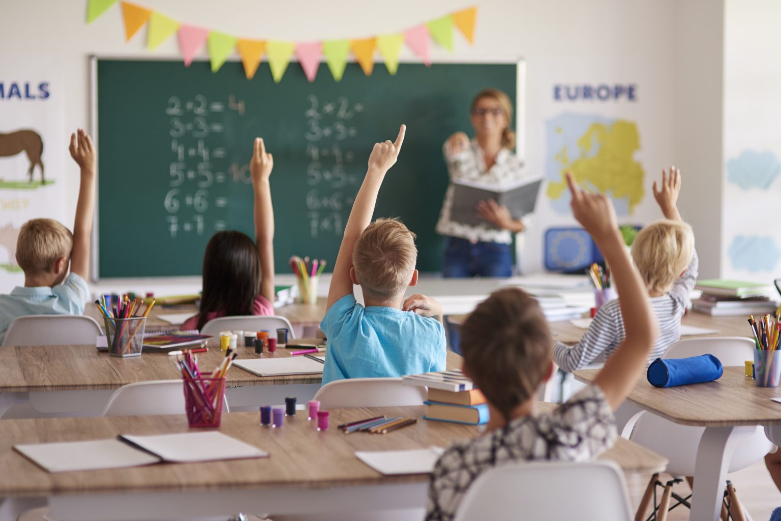 As Escolas Brasileiras e Seus Tipos: Uma Visão Abrangente - Blog das ...